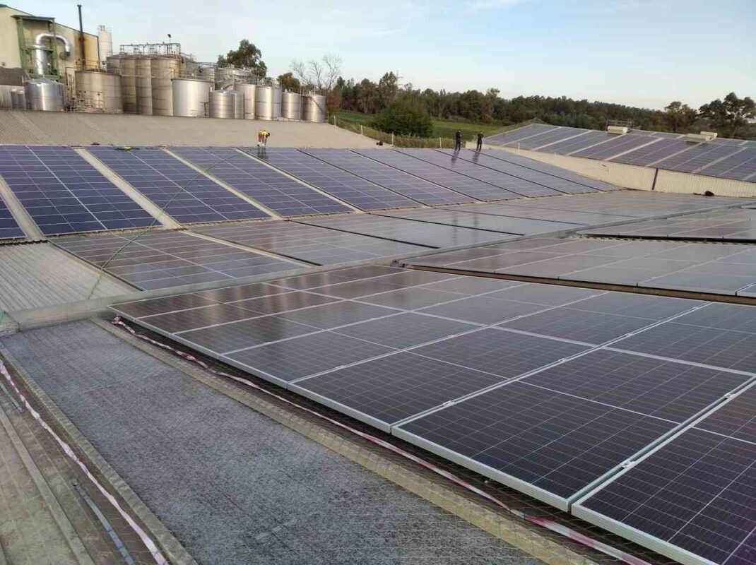 O grupo Sovena alimenta o futuro e o planeta - Sociedade Ponto Verde